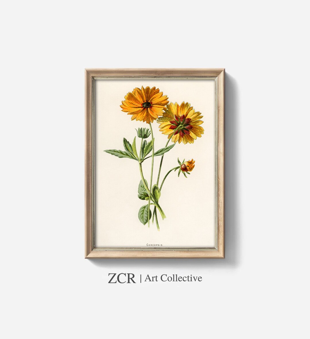 Vintage Yellow Flower Drawing | Botanical Sketch Art | Farmhouse ...