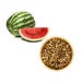 Organic Roasted Watermelon Seeds: Healthy Vegan Snack - Etsy