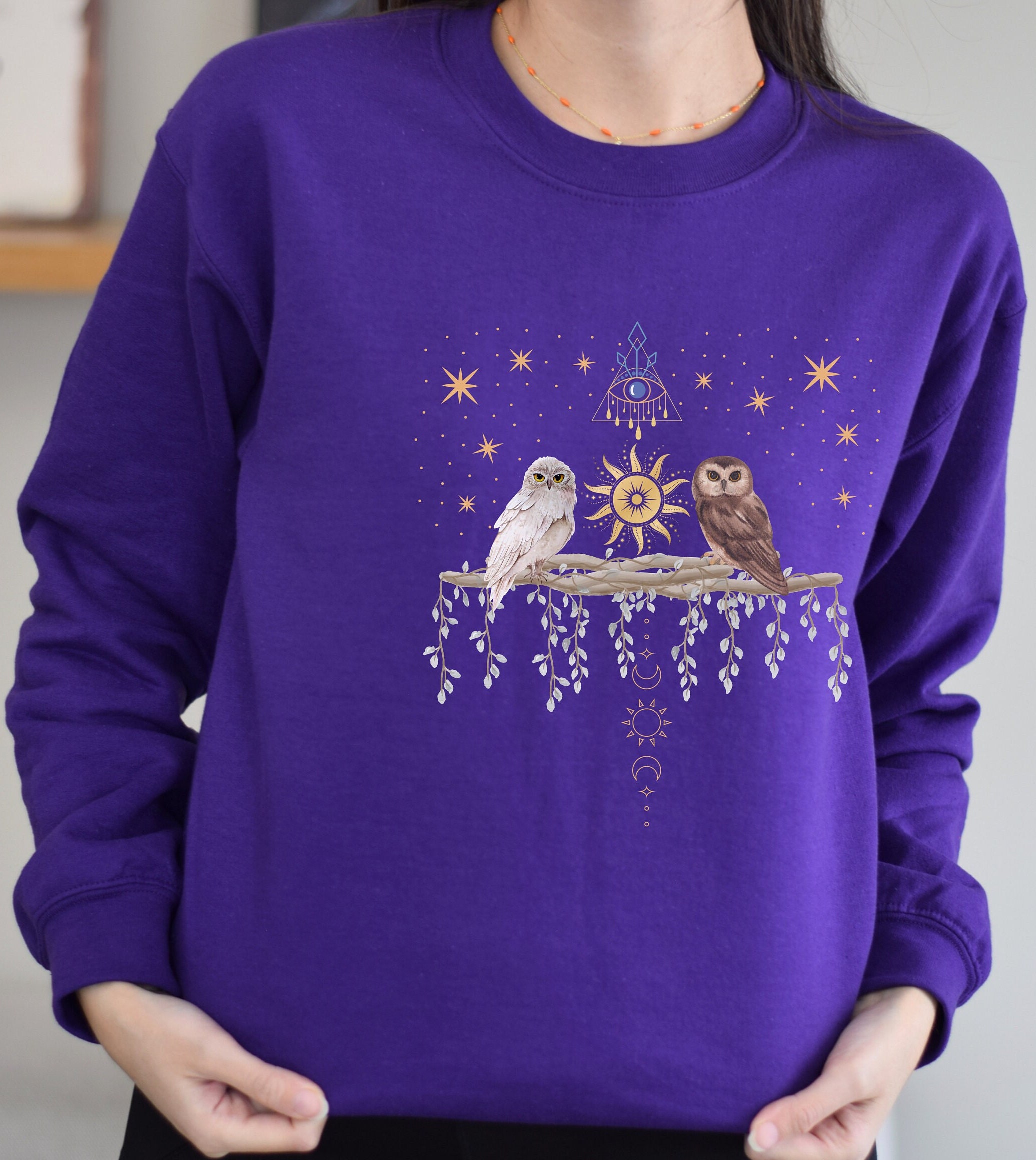 Celestial Owl Tshirt, Witchy Moon, Eye Evil Tshirt, Vintage Owl ...