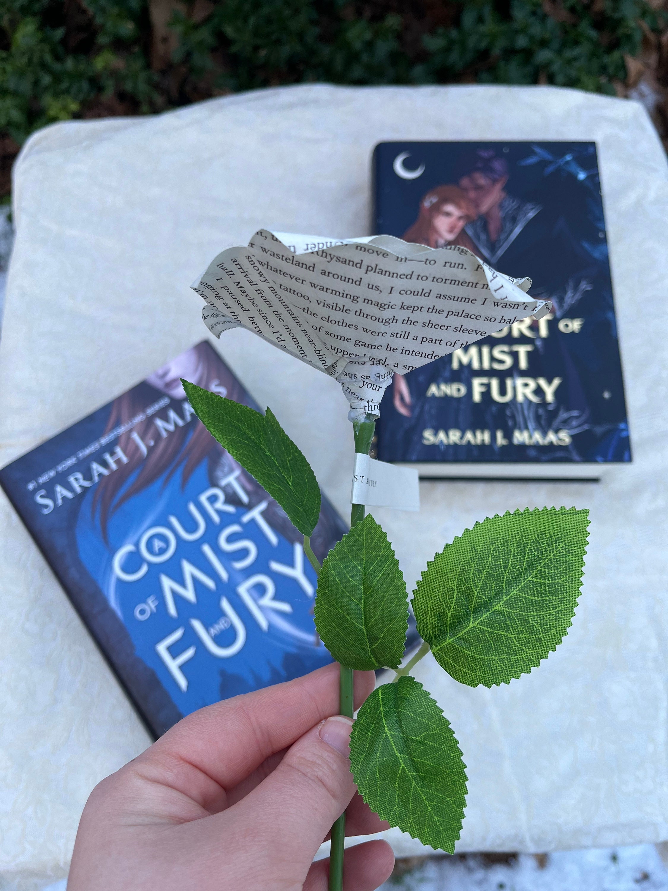 ACOMAF Book Page Rose - Etsy