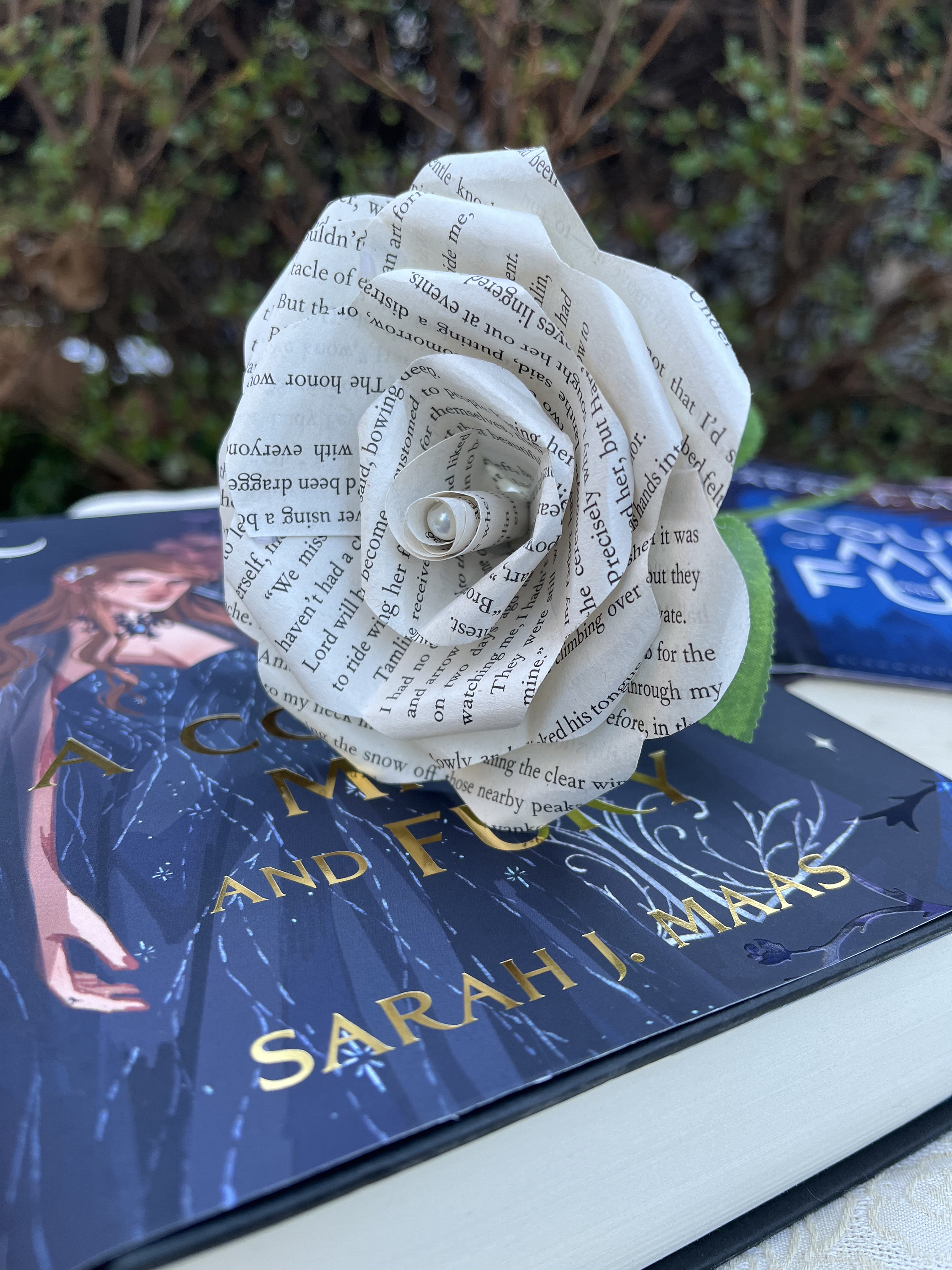 ACOMAF Book Page Rose - Etsy