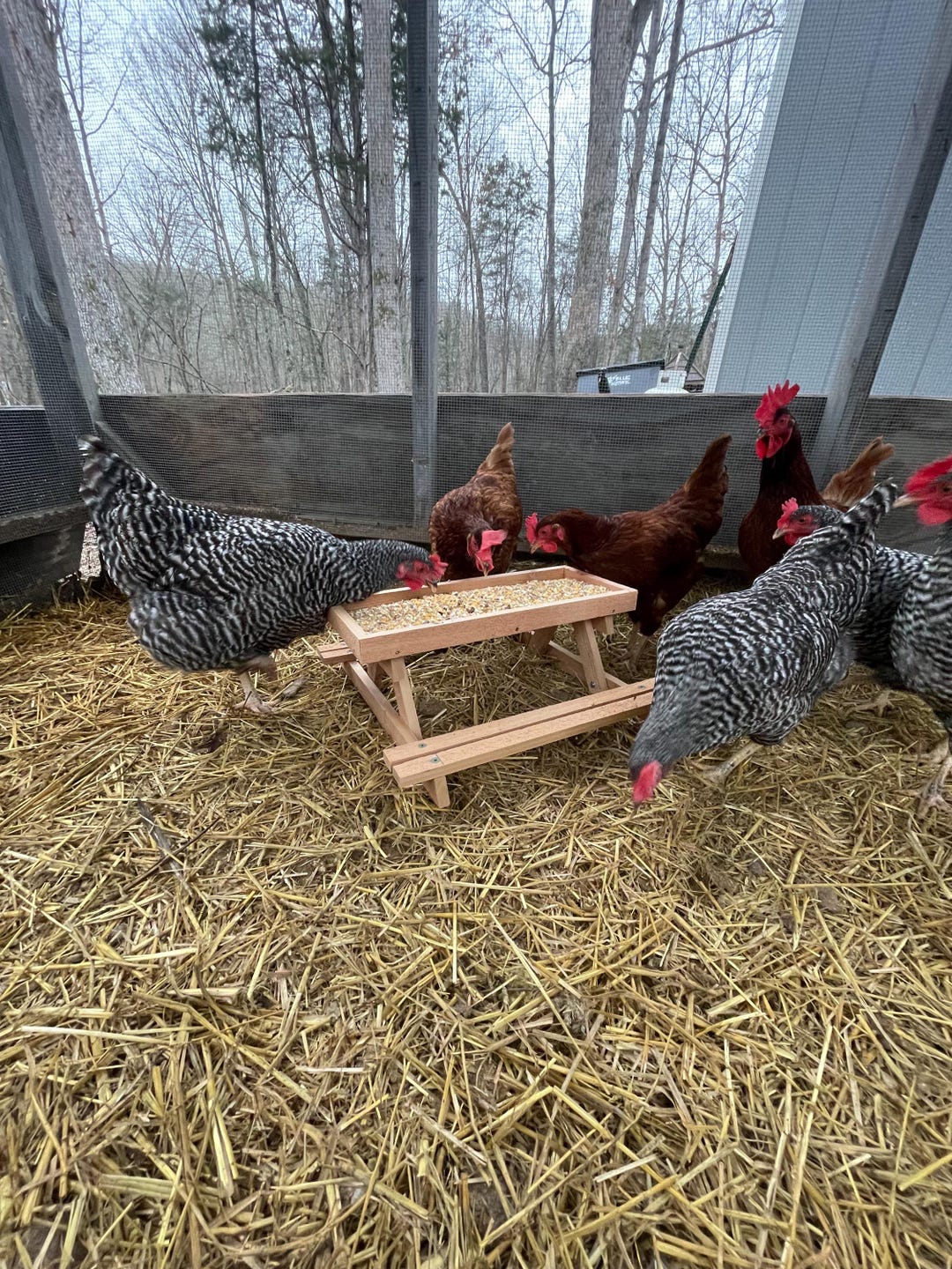 Chicknic Table - Etsy