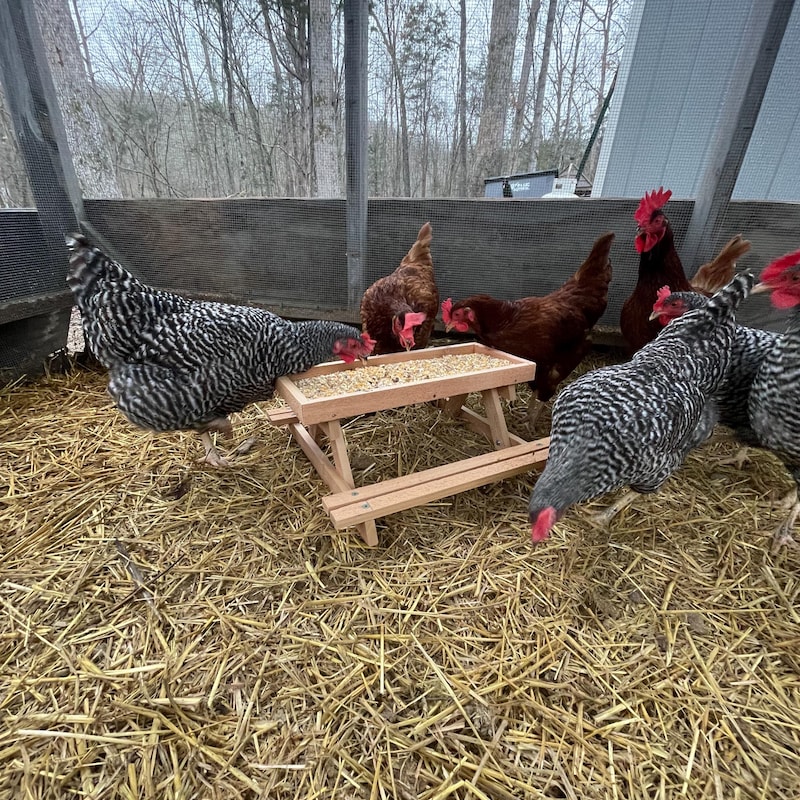 Chicknic Table - Etsy