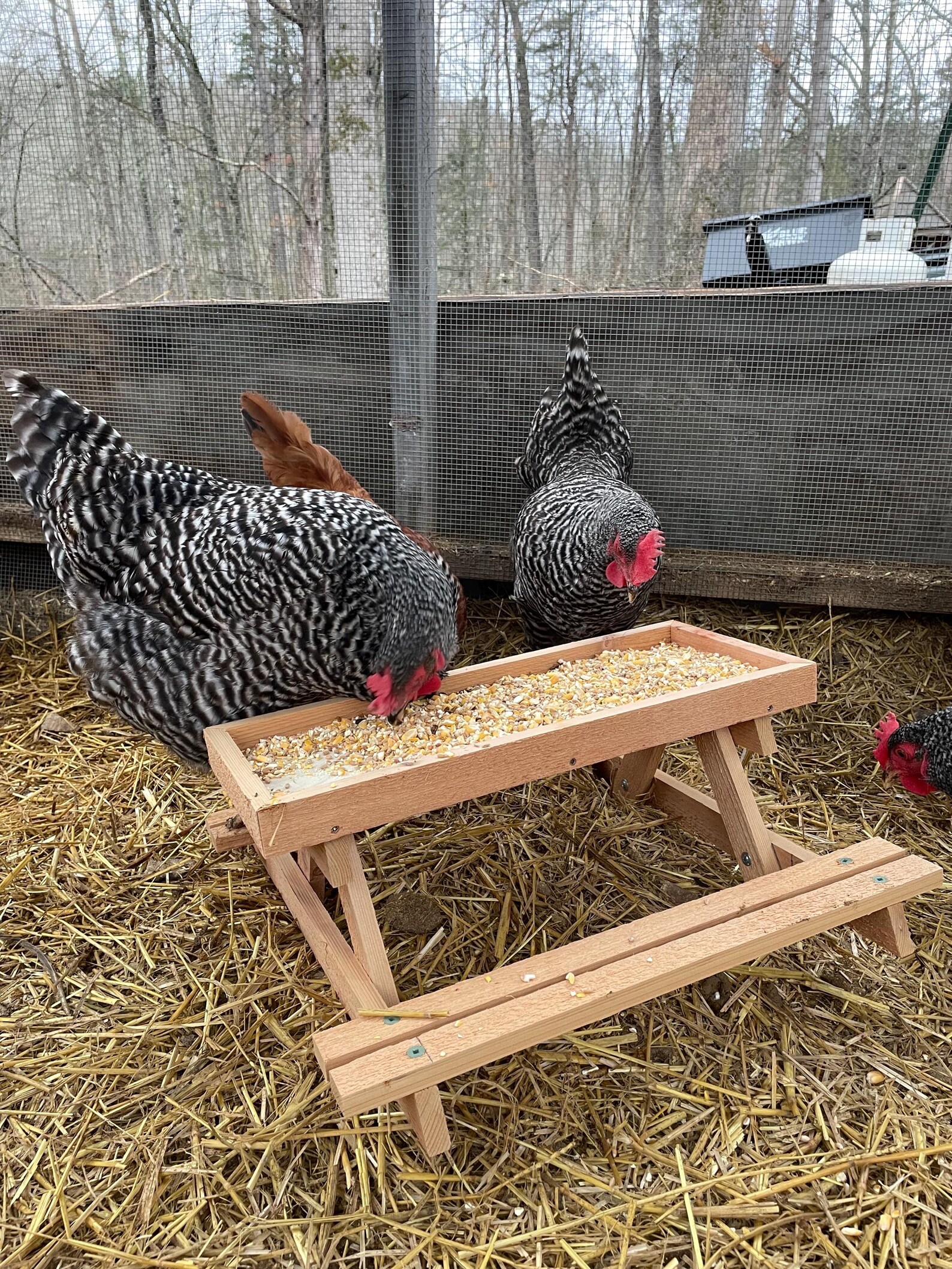Chicknic Table - Etsy