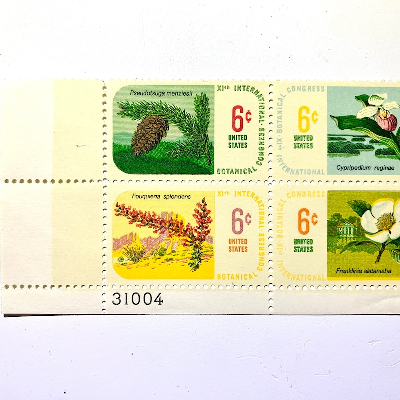 Botanical Stamp - Etsy