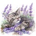15 Cat With Lavender Clipart, Cat and Flowers Clipart, Printable ...