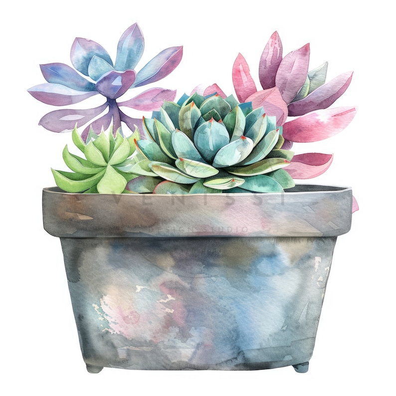 11 Potted Succulents Clipart, Succulent in Pot, Printable Watercolor ...