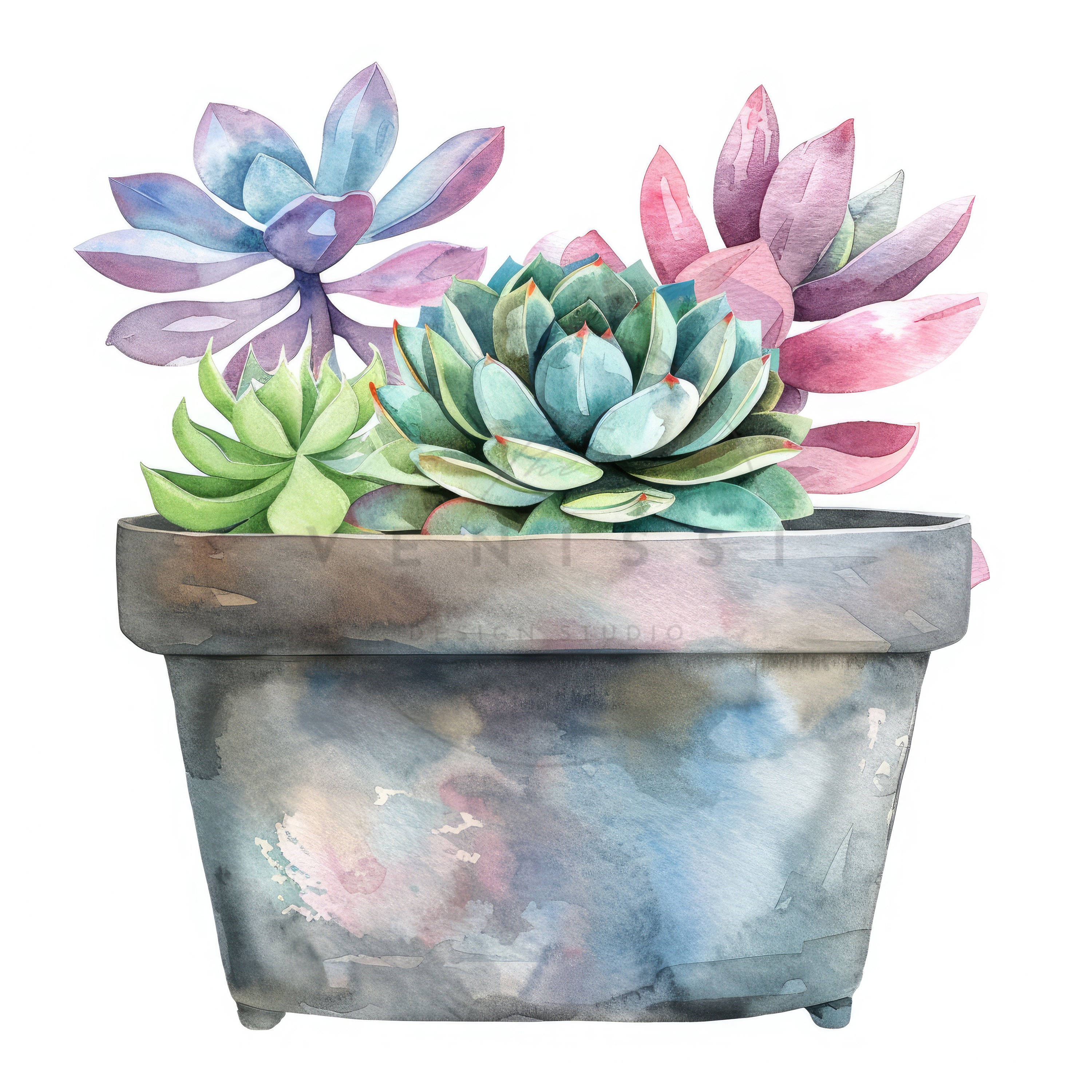 11 Potted Succulents Clipart, Succulent in Pot, Printable Watercolor ...