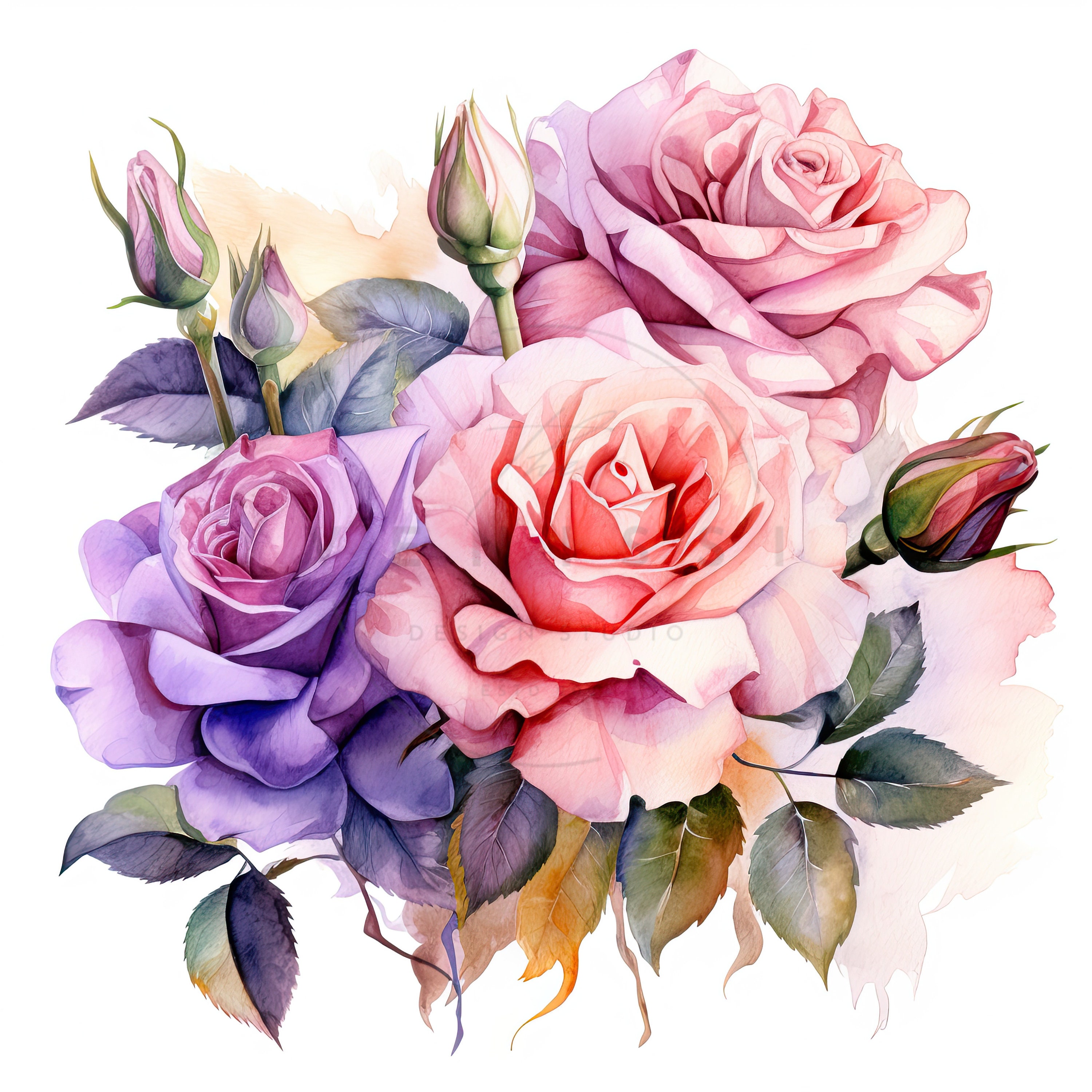 15 Watercolor Roses Clipart, Watercolor Spring Flowers Clipart ...