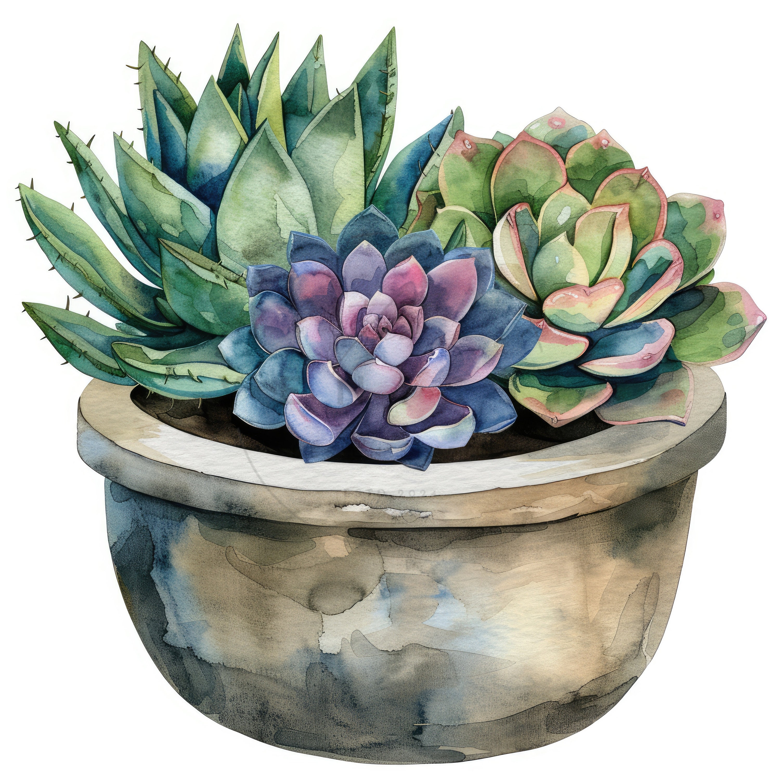 11 Potted Succulents Clipart, Succulent in Pot, Printable Watercolor ...