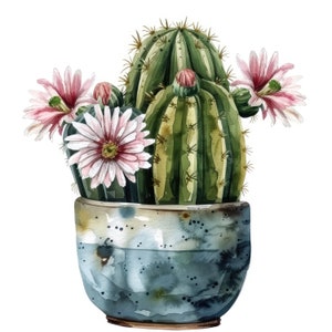 14 Watercolor Cactus With Flowers in Pot Clipart Pack, Printable High ...