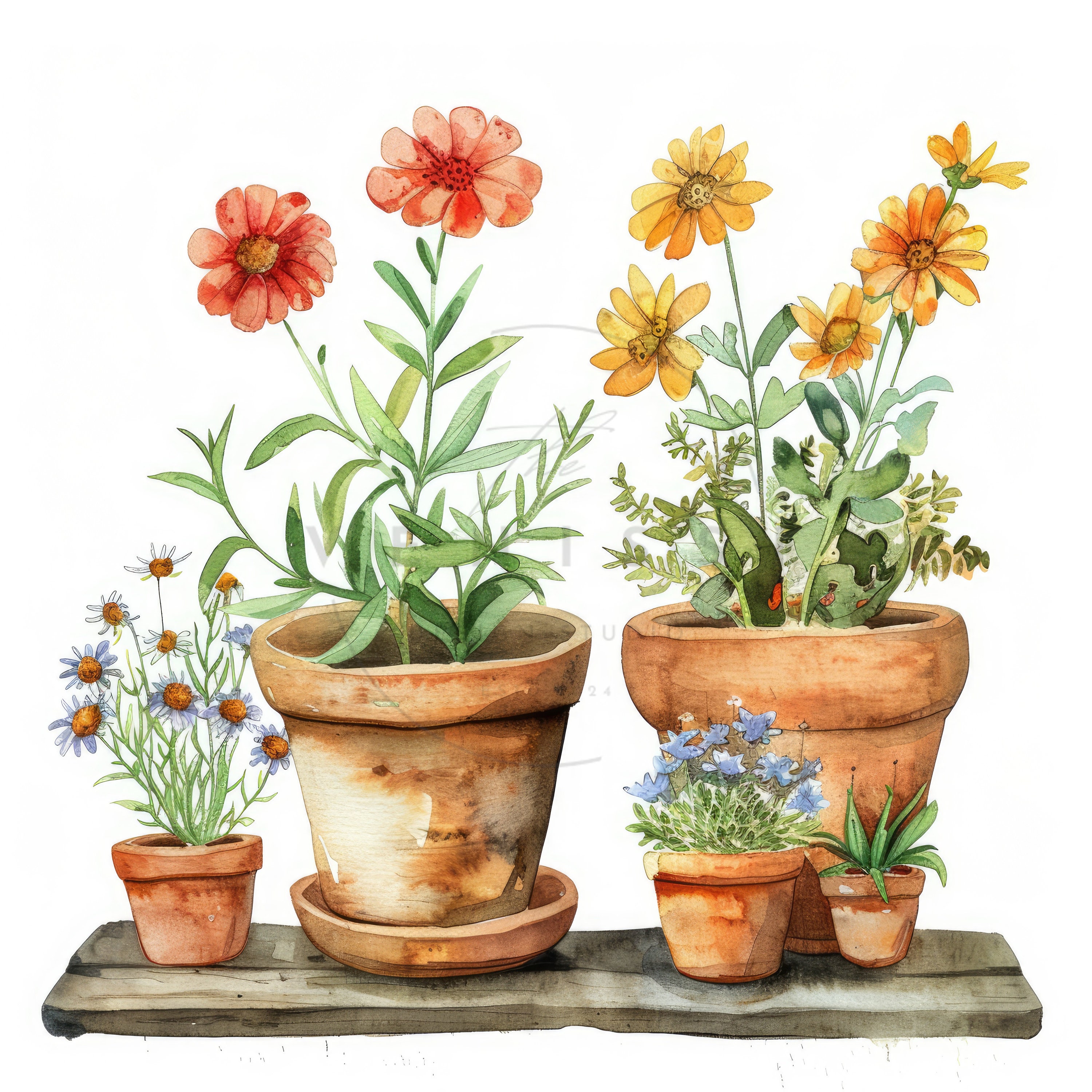 12 Rustic Potted Flowers Clipart Pack, Watercolor Plants in Pot Clip ...