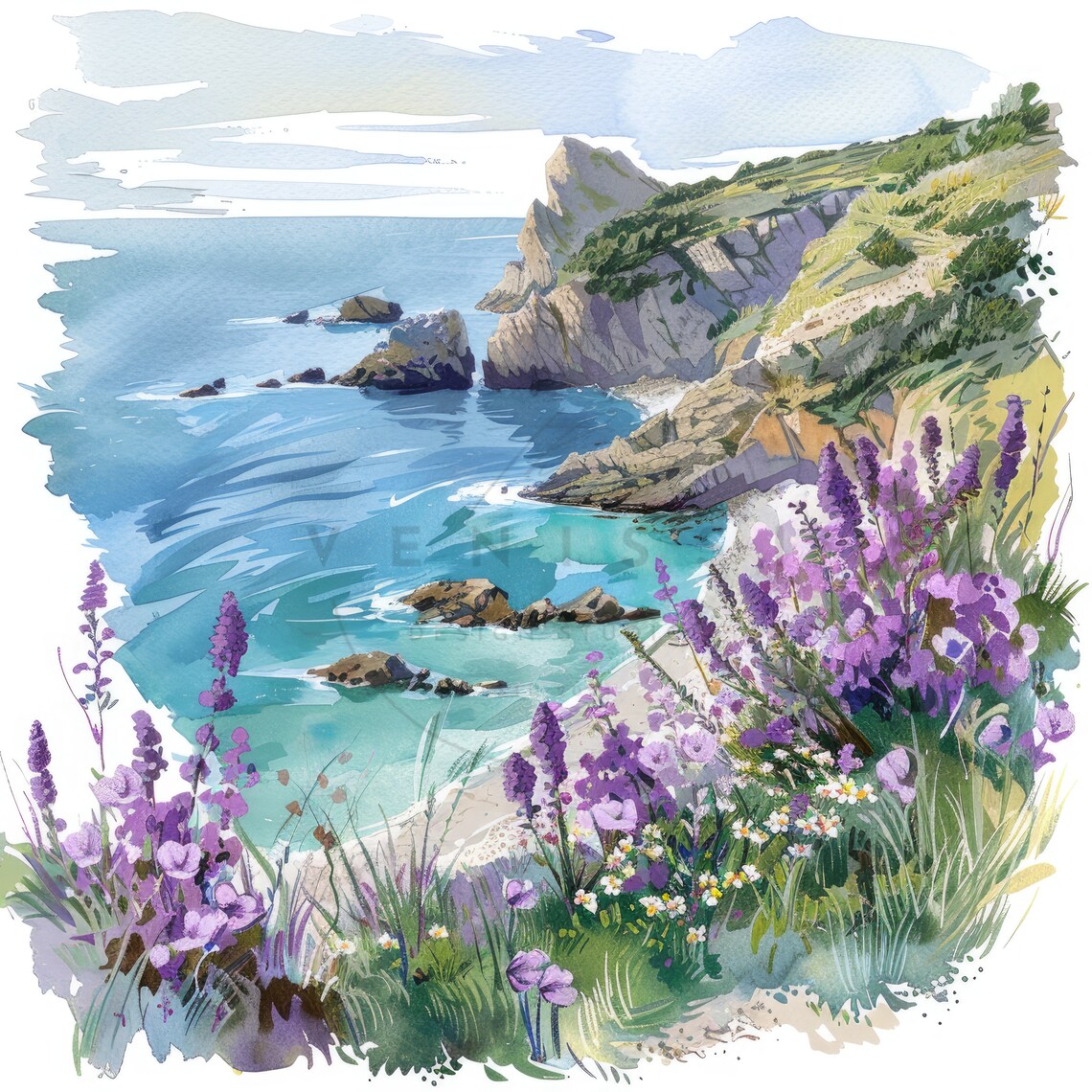 12 French Floral Coast Clipart, Watercolor French Coast Clip Art ...