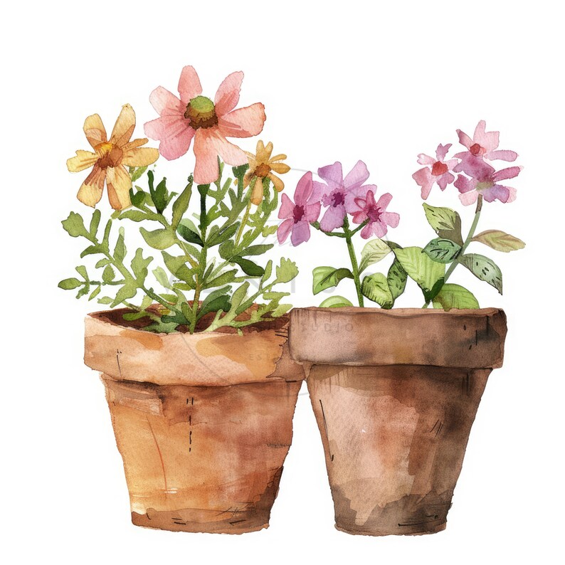 12 Rustic Potted Flowers Clipart Pack, Watercolor Plants in Pot Clip ...