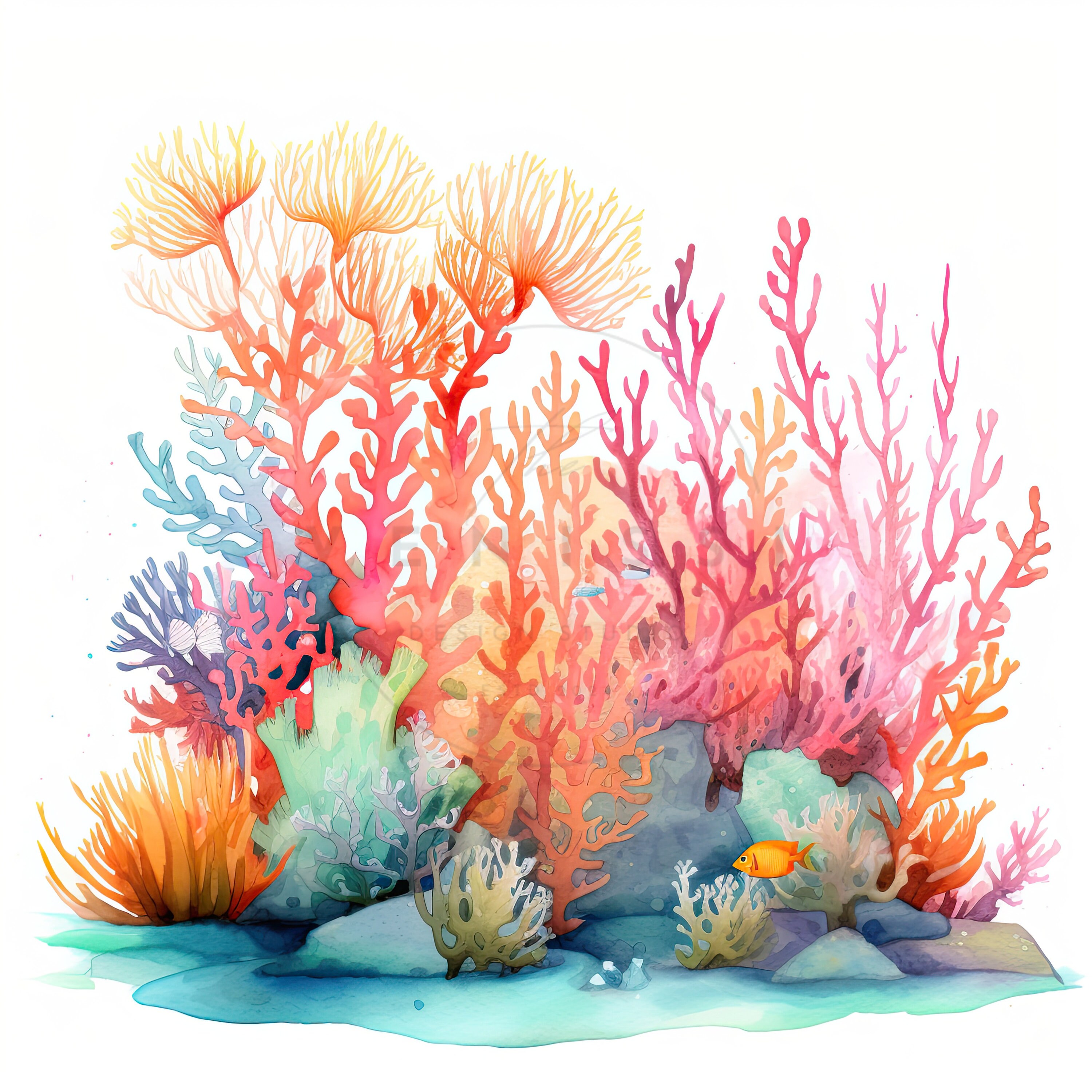 11 Underwater Coral Reef Plants Clipart, Watercolor Coral Reef Clip Art ...