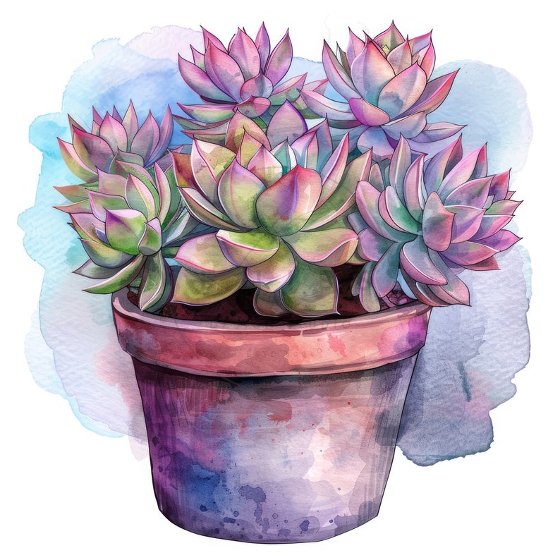 12 Succulents in Pot Clipart Pack, Watercolor Succulent Sublimation ...
