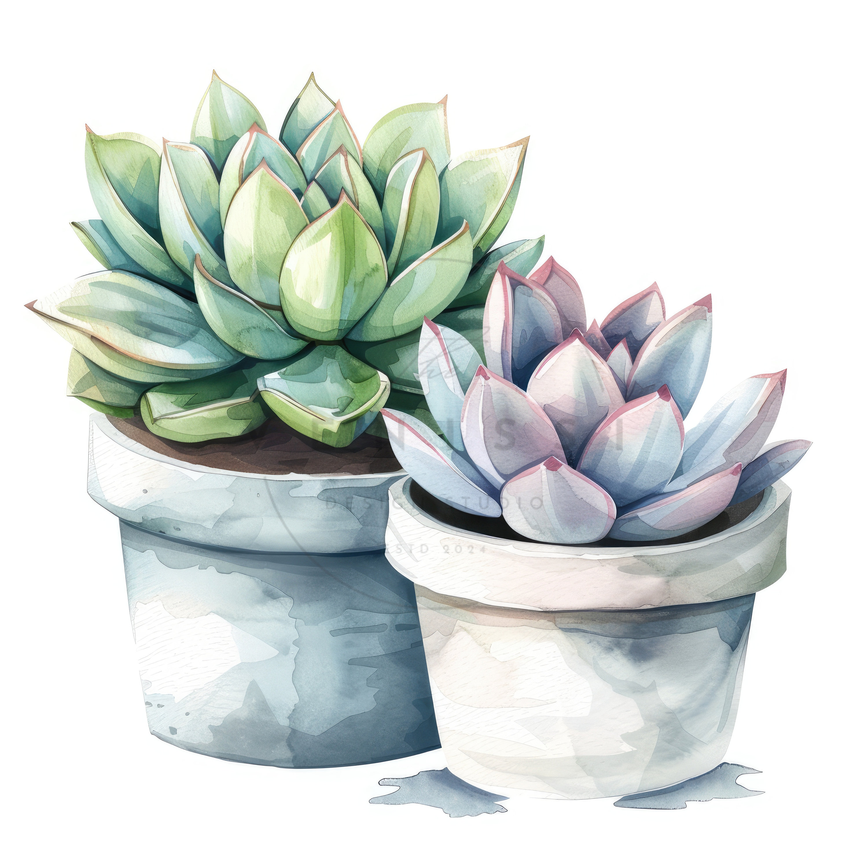 11 Potted Succulents Clipart, Succulent in Pot, Printable Watercolor ...