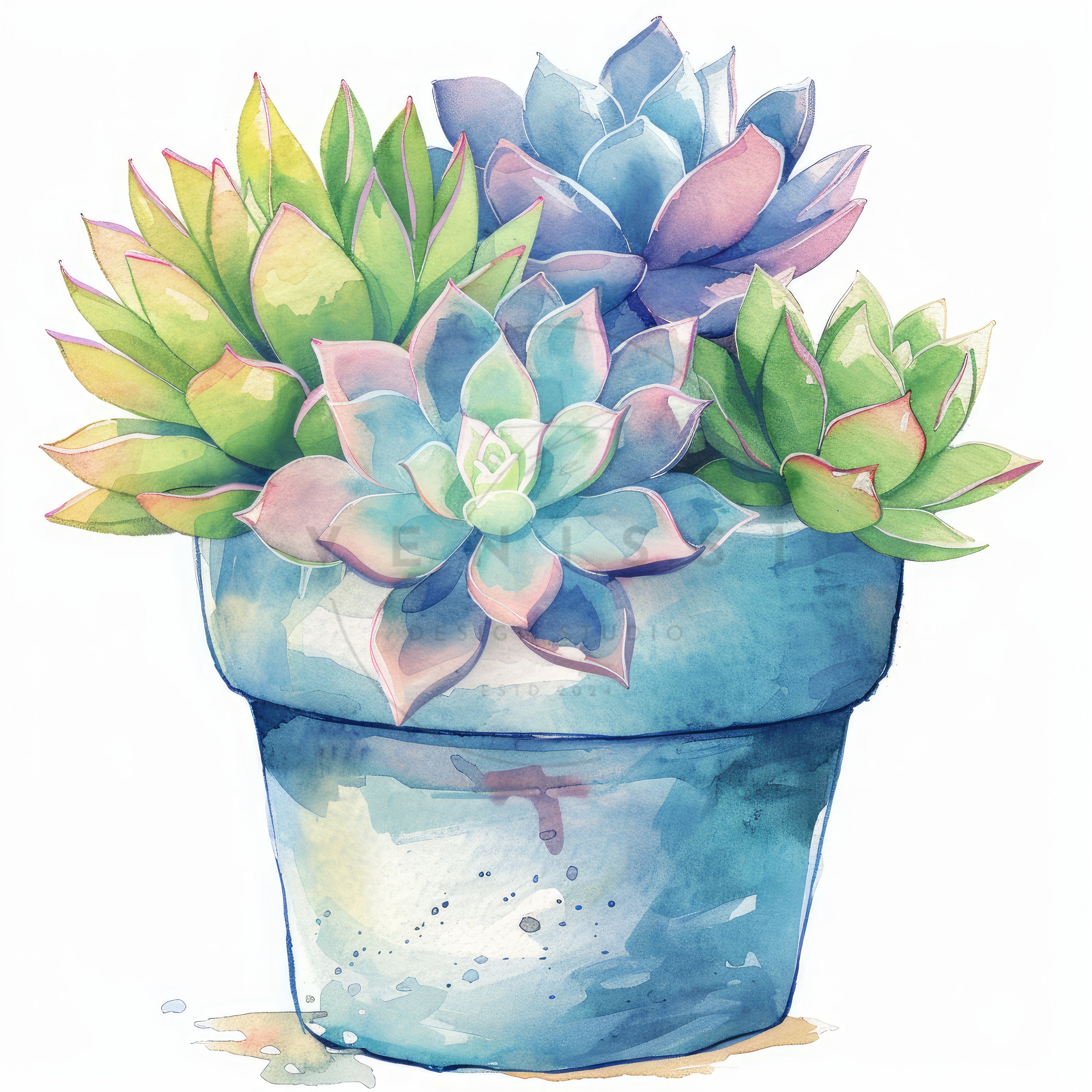 11 Potted Succulents Clipart, Succulent in Pot, Printable Watercolor ...