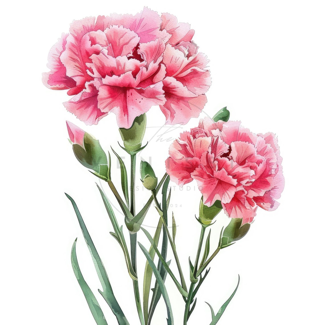 9 Watercolor Pink Carnation Flower Clipart Bundle, Flowers Clipart ...