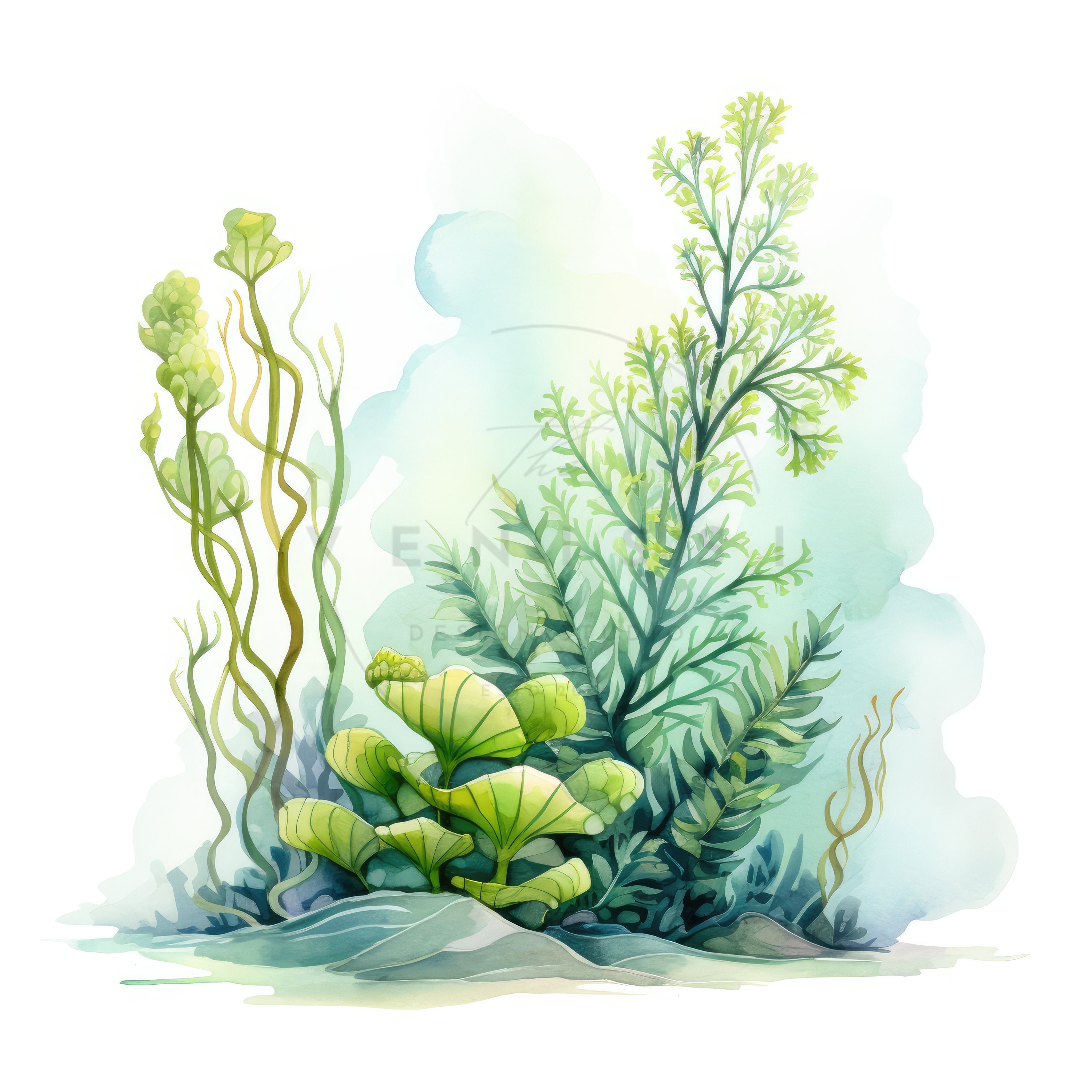14 Underwater Coral Reef Plants Clipart, Watercolor Coral Reef Clip Art ...