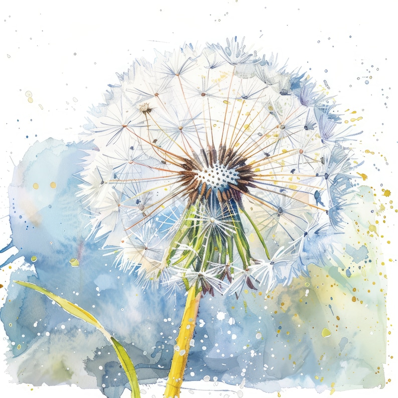 16 Watercolor Dandelion Clipart Bundle, Spring Flower Clip Art ...