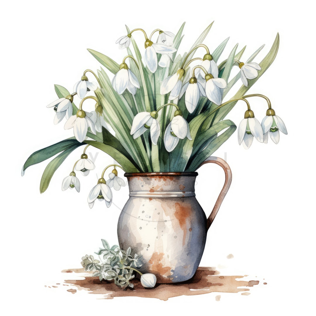 11 Snowdrops in Jar Clipart, Watercolor Snowdrops Clipart Bundle ...