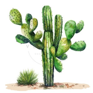 12 Watercolor Cactus in Desert Landscape Clipart Set, Desert Plant ...