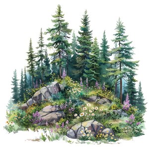 12 Canadian Forest Trees Clipart, Watercolor Forest Land Clip Art ...