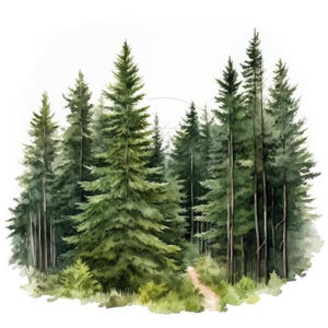 13 Pine Tree Forest Clipart, Watercolor Forest Clip Art, Printable High Quality Jpgs, Digital ...