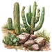 12 Watercolor Cactus in Desert Landscape Clipart Set, Desert Plant ...