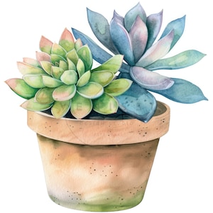 11 Potted Succulents Clipart, Succulent in Pot, Printable Watercolor ...
