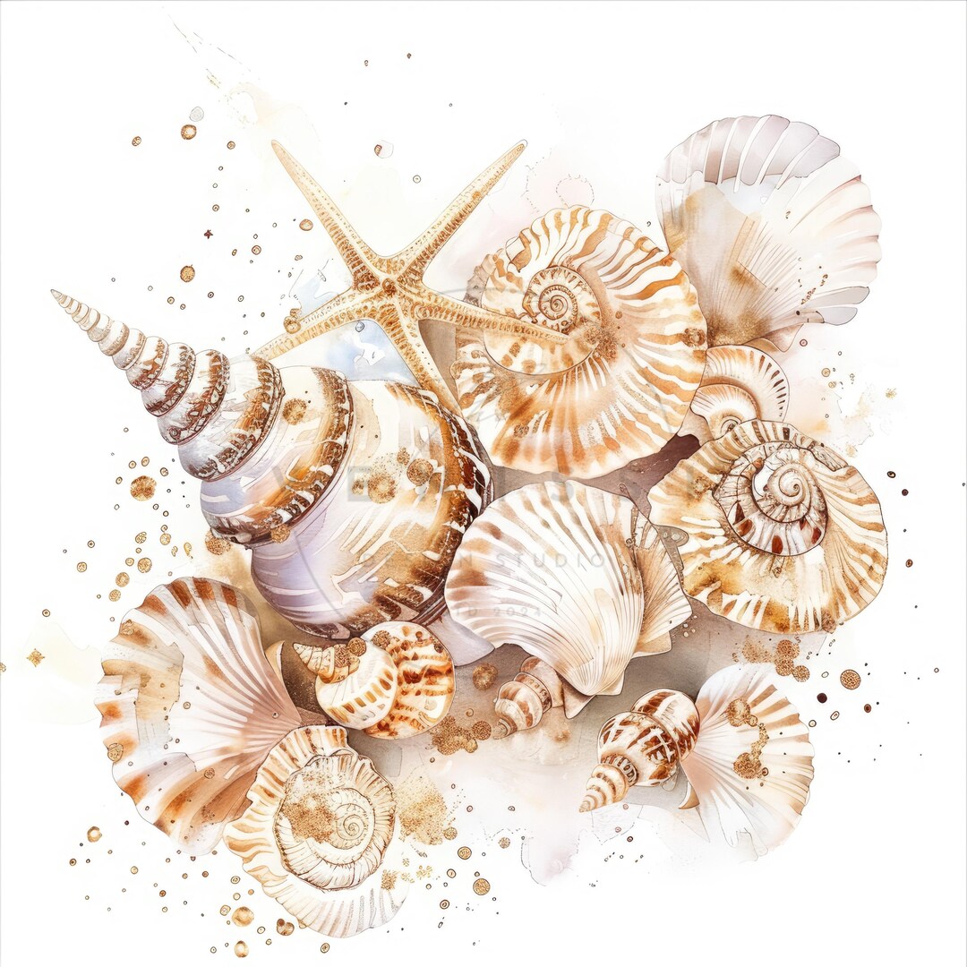 12 Seashells Clipart, Watercolor Sea Shells Print, Printable Shell ...