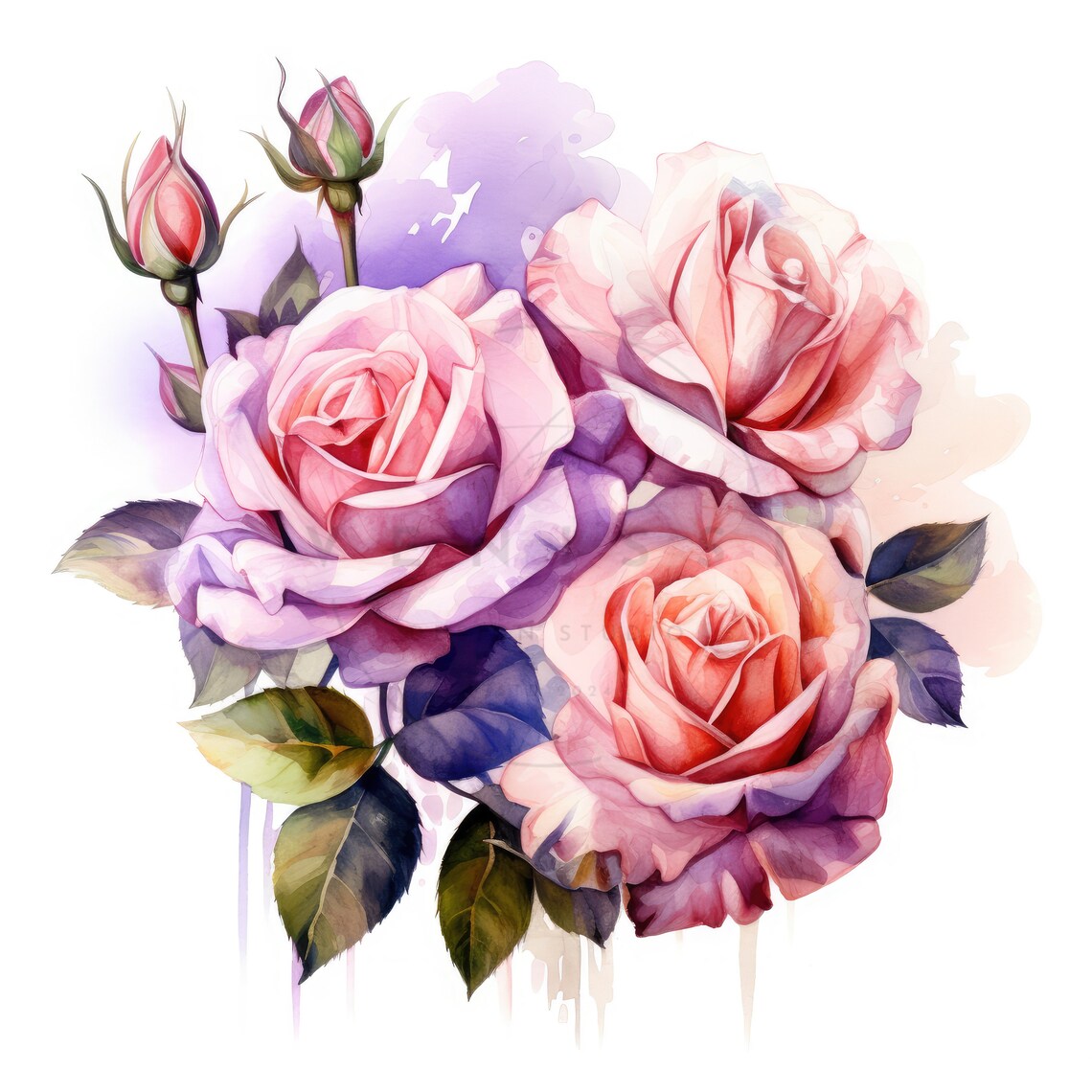 15 Watercolor Roses Clipart, Watercolor Spring Flowers Clipart ...