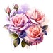 15 Watercolor Roses Clipart, Watercolor Spring Flowers Clipart ...