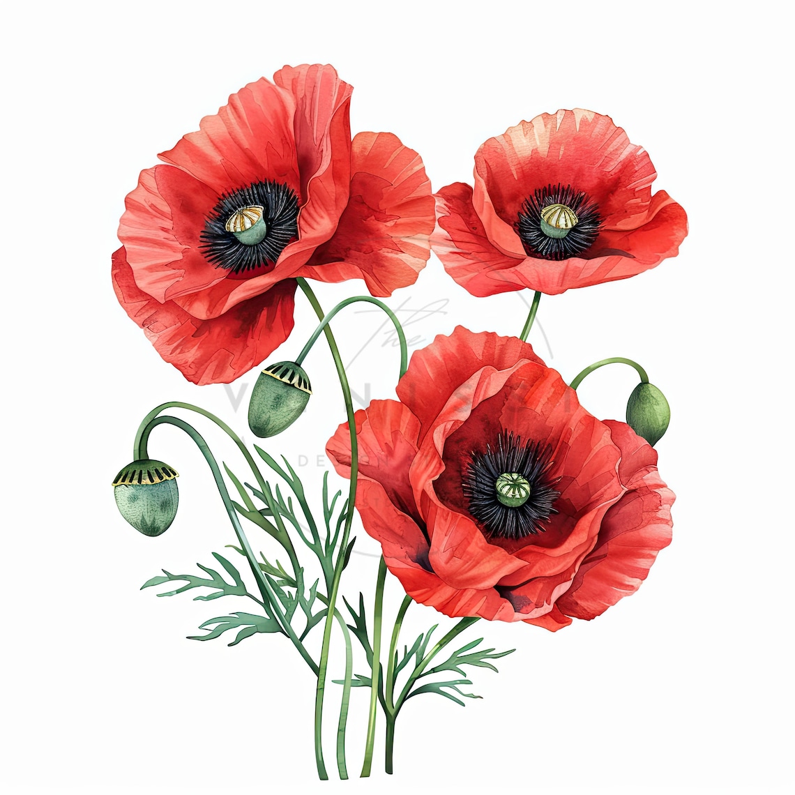 14 Red and Blue Watercolor Poppies Flowers Clipart Pack, Printable High ...