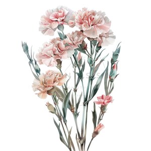11 Watercolor Carnation Flower Clipart Bundle, Flowers Clipart ...