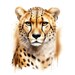 14 Cheetah Clipart, Watercolor Cheetah Print, Safari Animal Clipart ...