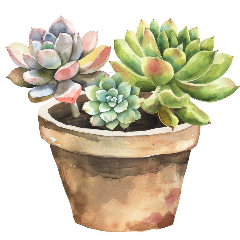 11 Potted Succulents Clipart, Succulent in Pot, Printable Watercolor ...