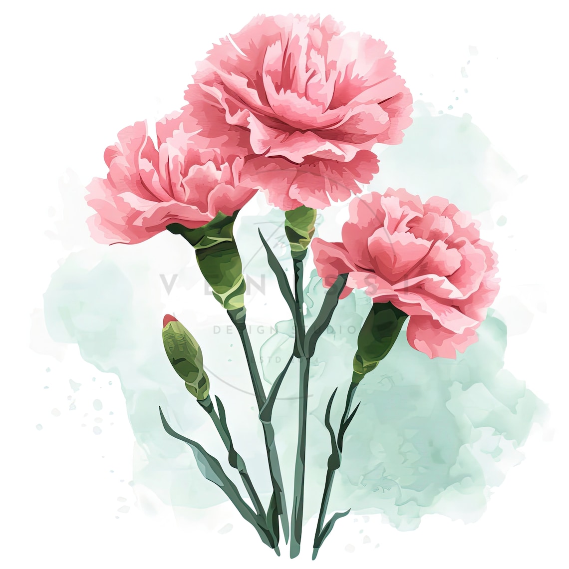 9 Watercolor Pink Carnation Flower Clipart Bundle, Flowers Clipart ...