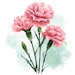 9 Watercolor Pink Carnation Flower Clipart Bundle, Flowers Clipart ...