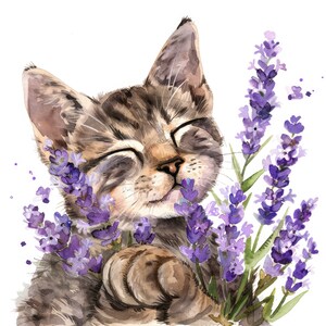 15 Cat With Lavender Clipart, Cat and Flowers Clipart, Printable ...