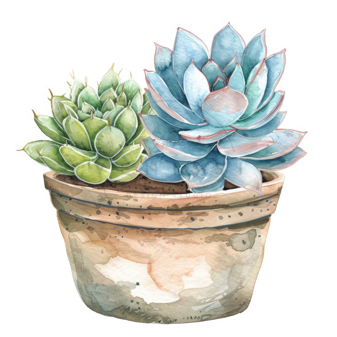 11 Potted Succulents Clipart, Succulent in Pot, Printable Watercolor ...