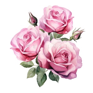 15 Watercolor Roses Clipart, Watercolor Spring Flowers Clipart ...