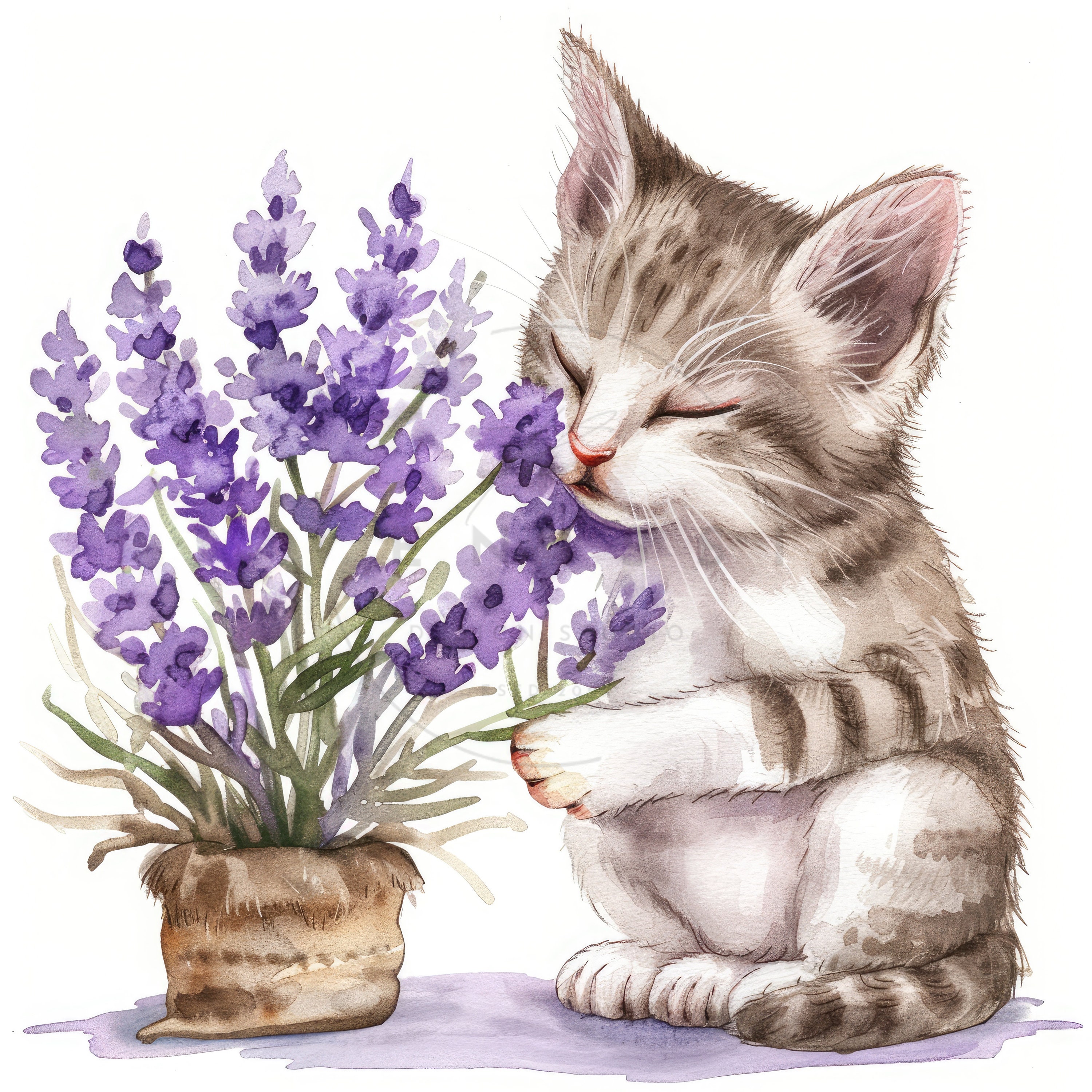15 Cat With Lavender Clipart, Cat and Flowers Clipart, Printable ...