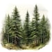 13 Pine Tree Forest Clipart, Watercolor Forest Clip Art, Printable High Quality Jpgs, Digital ...