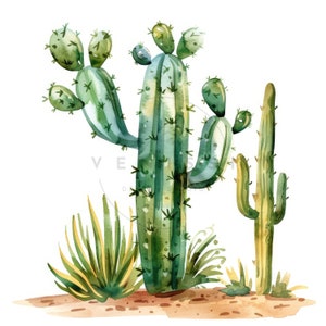 12 Watercolor Cactus in Desert Landscape Clipart Set, Desert Plant ...