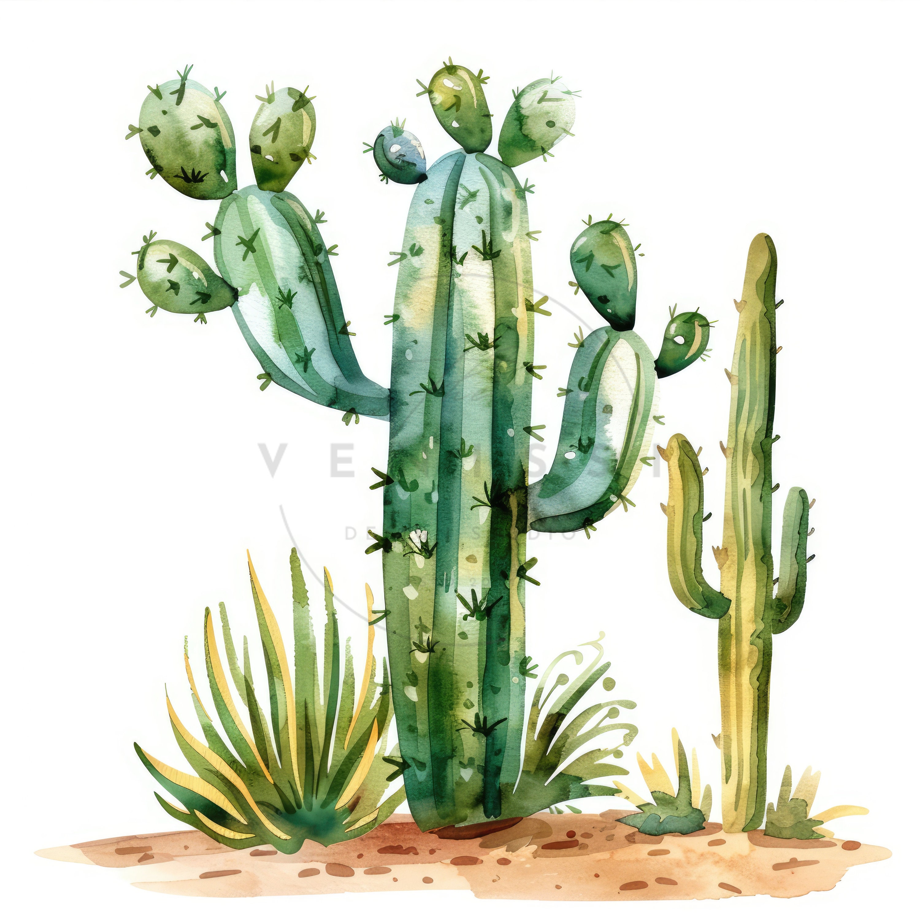 12 Watercolor Cactus in Desert Landscape Clipart Set, Desert Plant ...