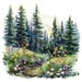 12 Canadian Forest Trees Clipart, Watercolor Forest Land Clip Art ...
