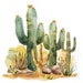12 Watercolor Cactus in Desert Landscape Clipart Set, Desert Plant ...