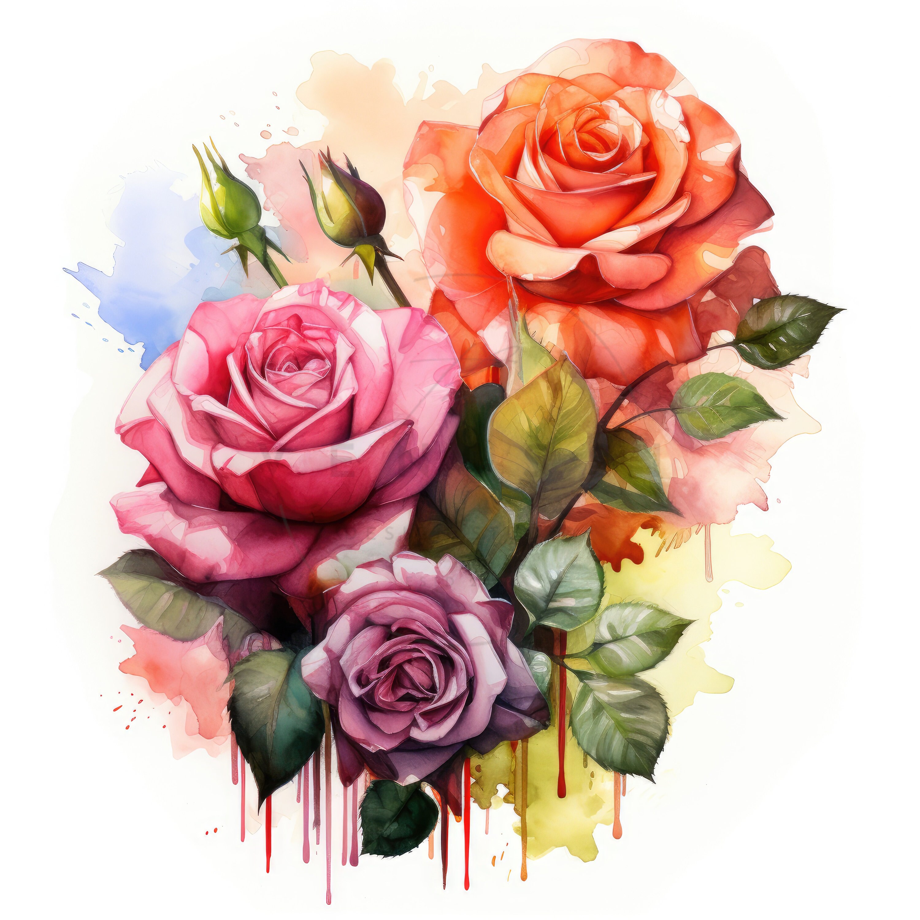 15 Watercolor Roses Clipart, Watercolor Spring Flowers Clipart ...